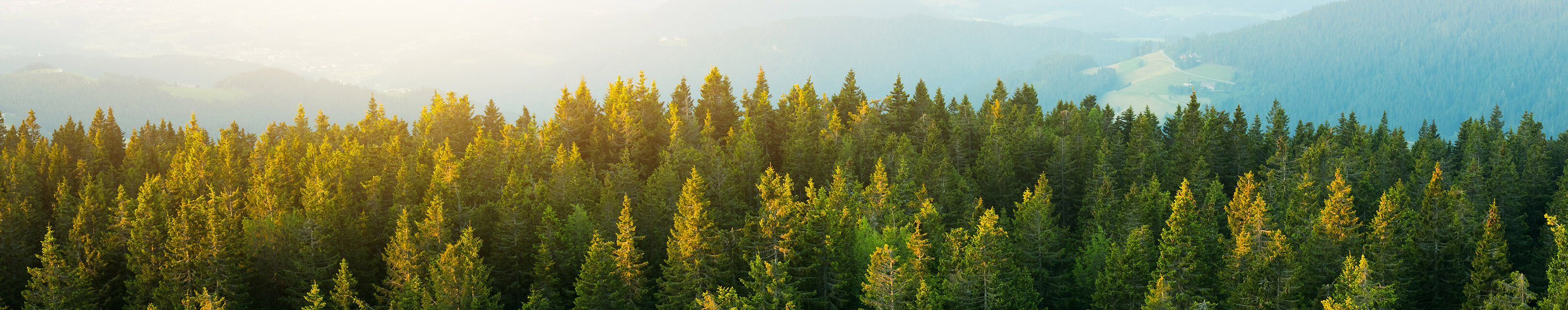 Our Planet Matters Nature Conservancy Partnership | SKECHERS